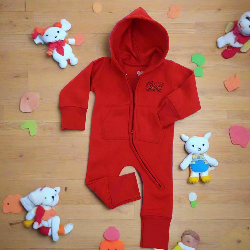 Welsh Kids & Baby Clothing Accessories | Giftware Wales