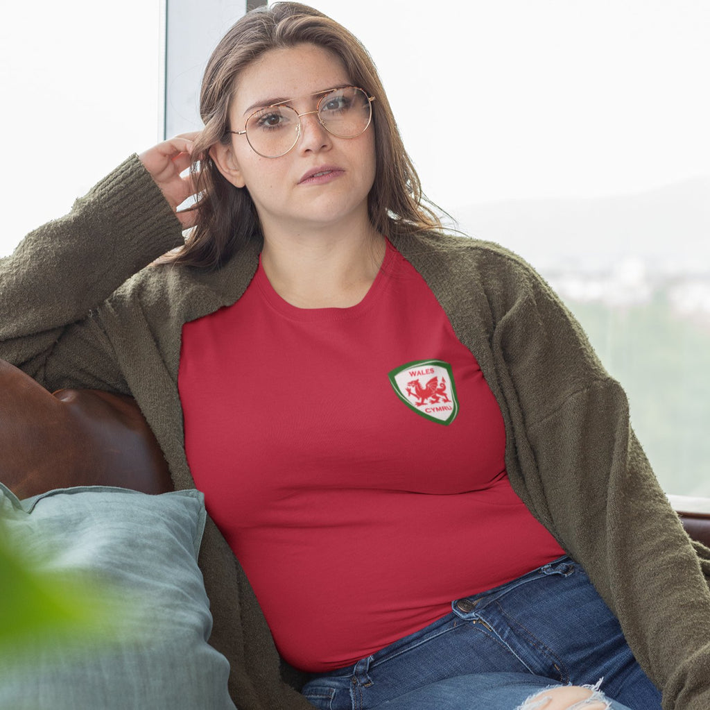 Official FAW Welsh Football Merchandise | Giftware Wales