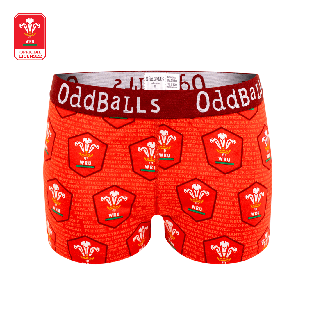Official WRU Ladies Boxer Shorts - OddBalls® Home — Giftware Wales