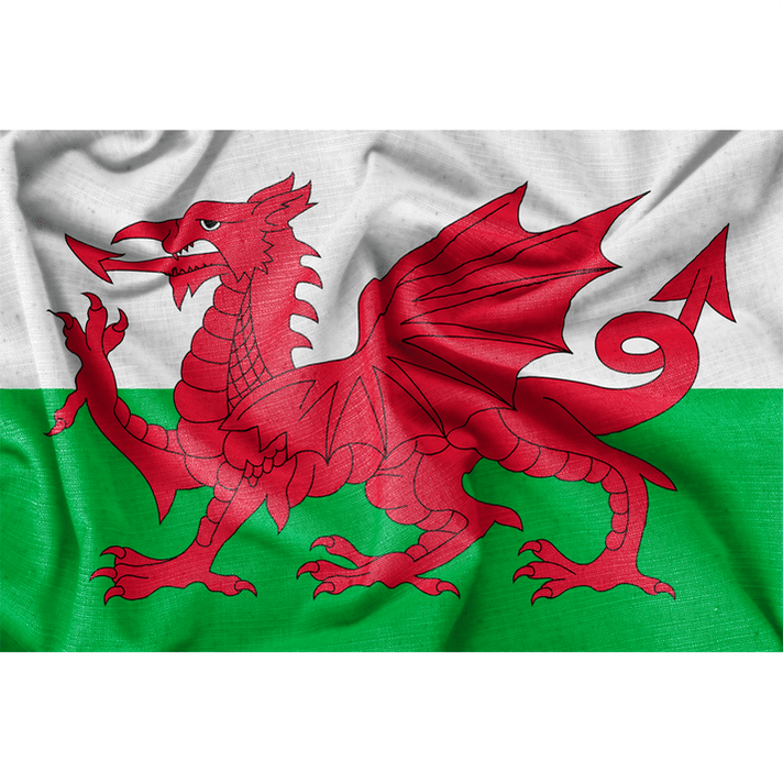 Official FAW Welsh Football Merchandise | Giftware Wales